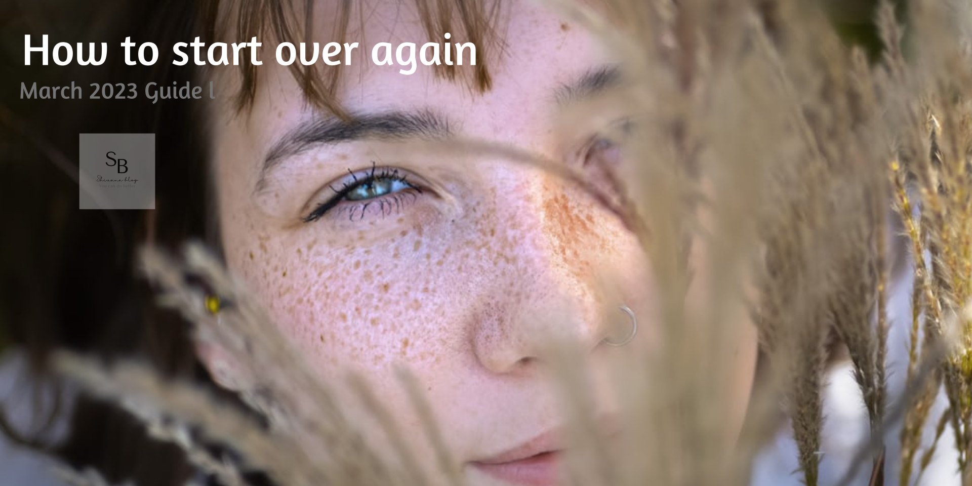 How to start over again - Shivana Blog